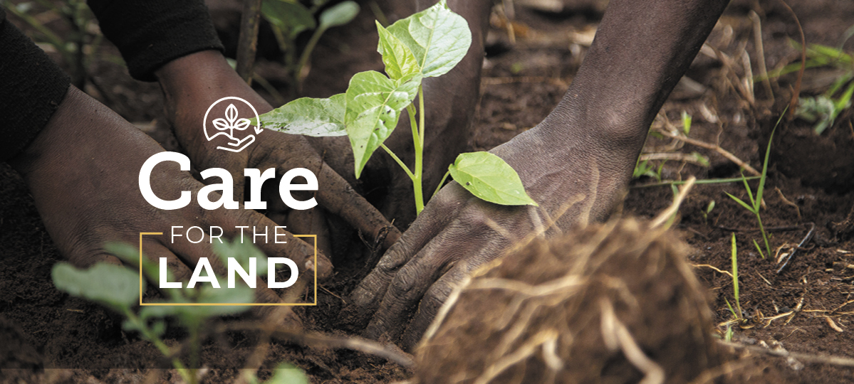 Care for the land - Heifer's climate-smart approach