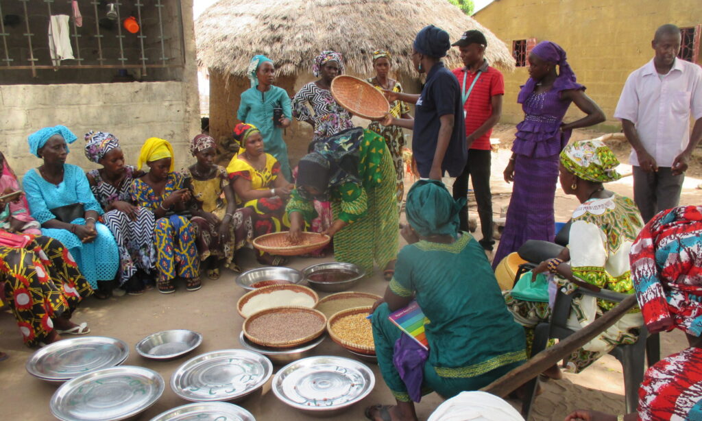 Nutrition - Senegal - Heifer