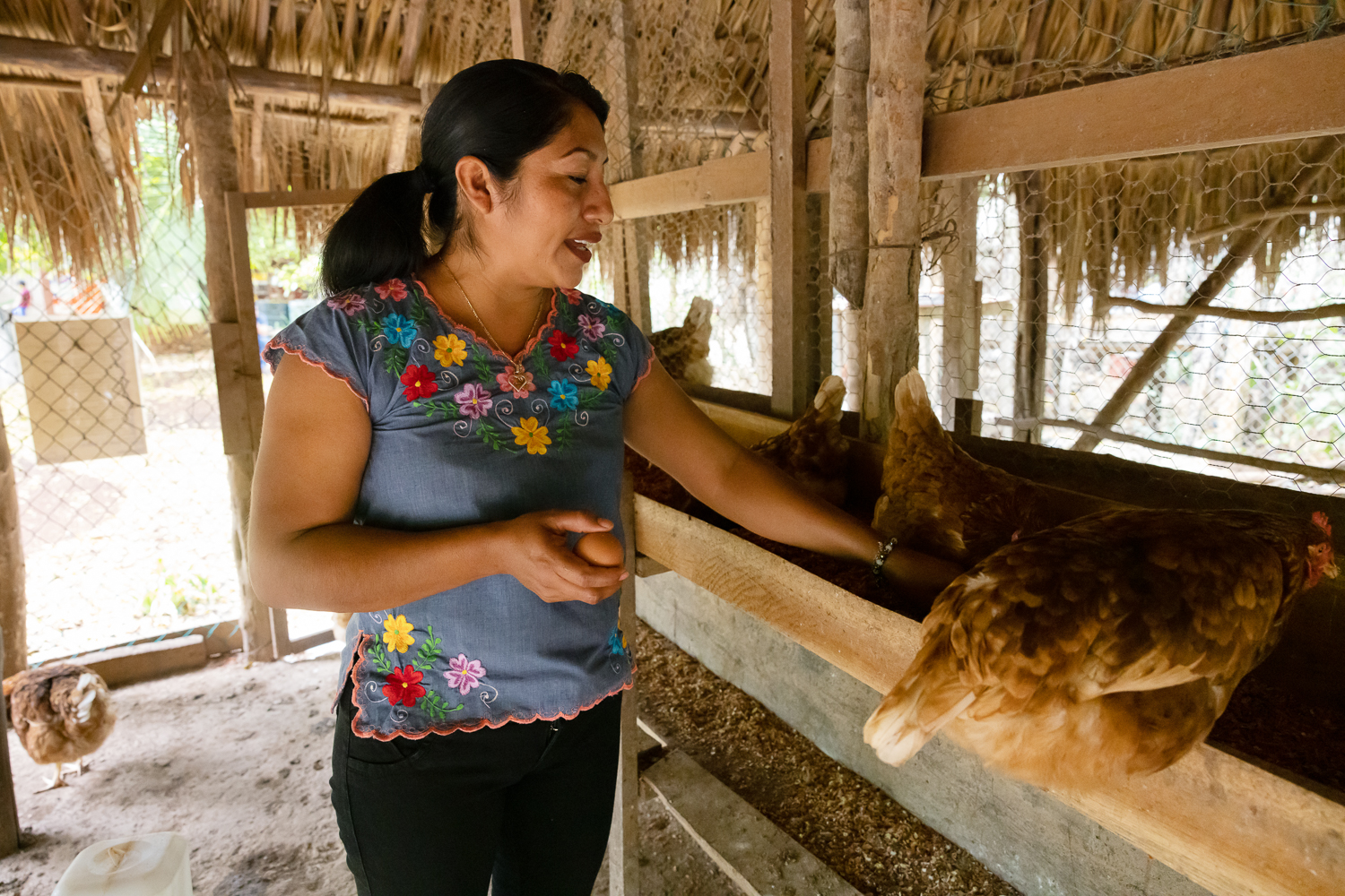 What is a smallholder farmer? Learn more on heifer.nl/en